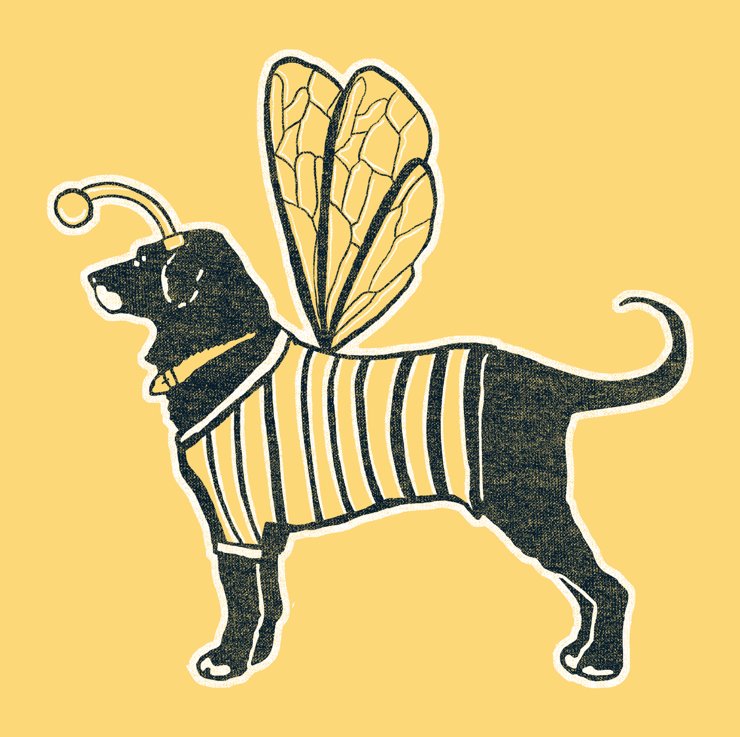 A Buzz is in the Air... – The Black Dog