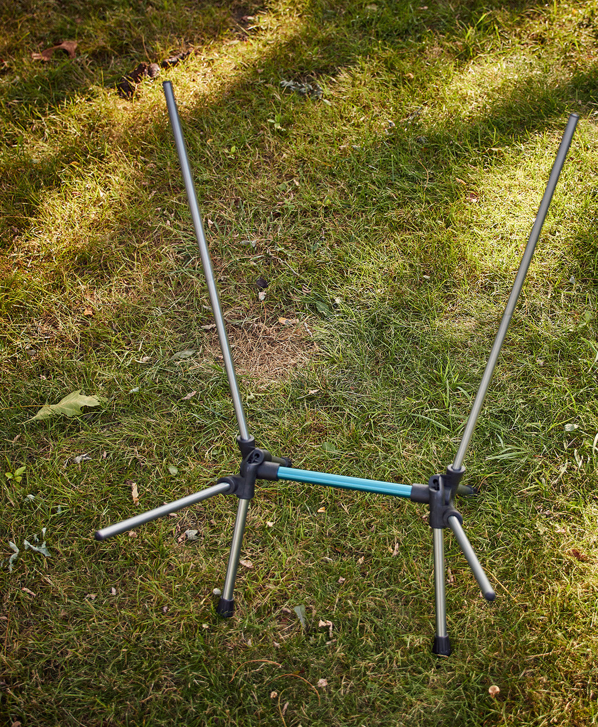 Shop Black Dog for Your Home | Bring The Black Dog Home