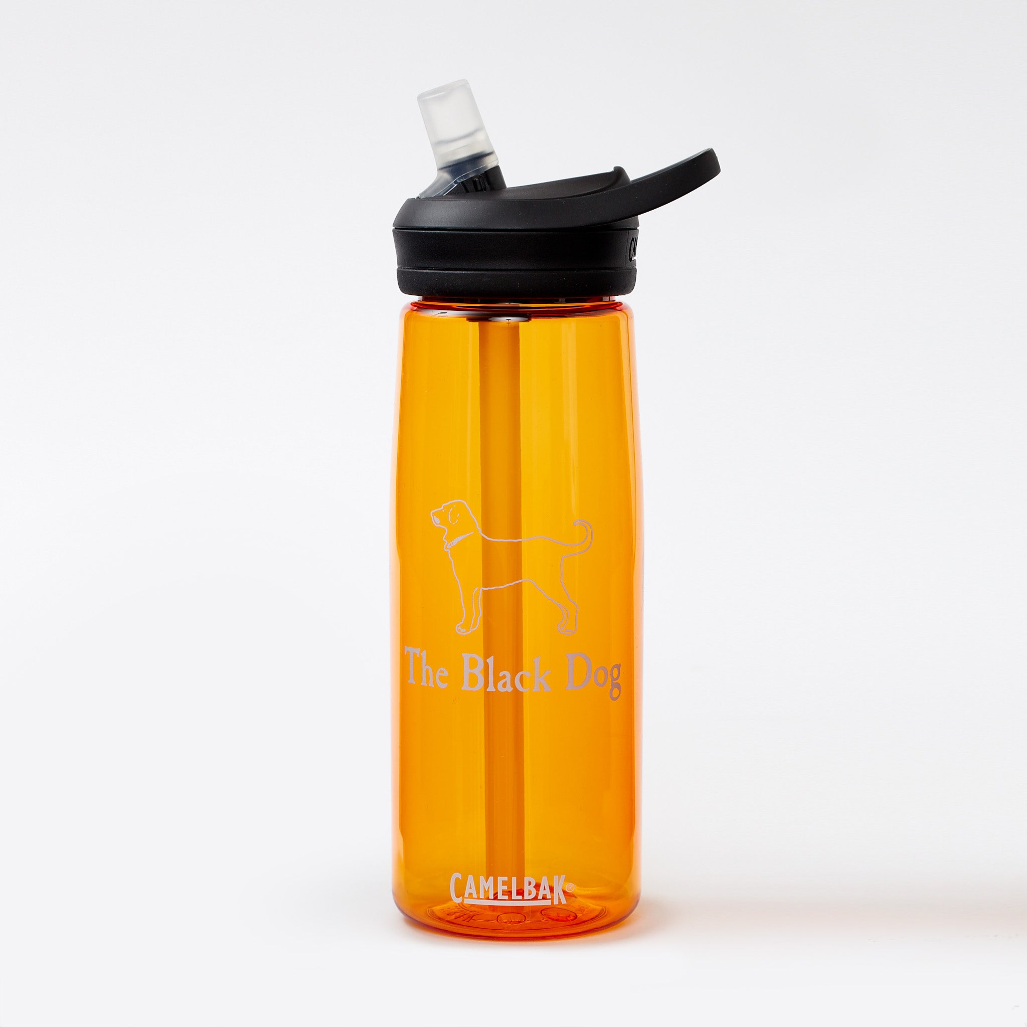 Camelback 20 oz Waterbottle – The Black Dog