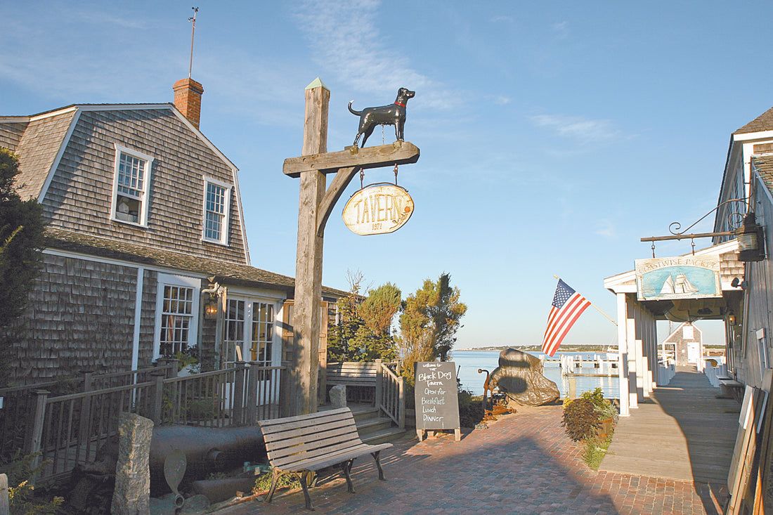 The Black Dog Tavern
